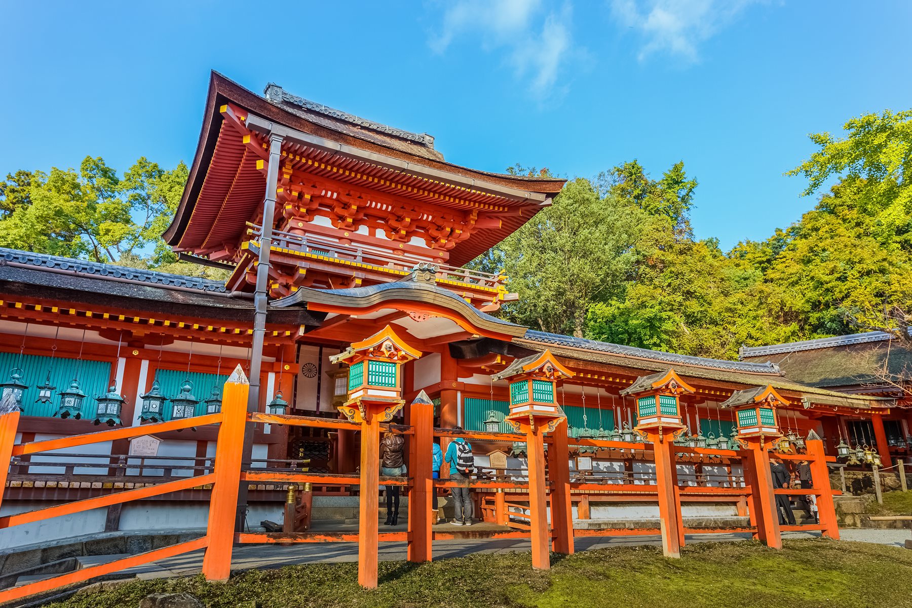 【限時限量影城三都伴自由5日】奈良小鹿.長腳蟹吃到飽 | 五福旅遊Lifetour