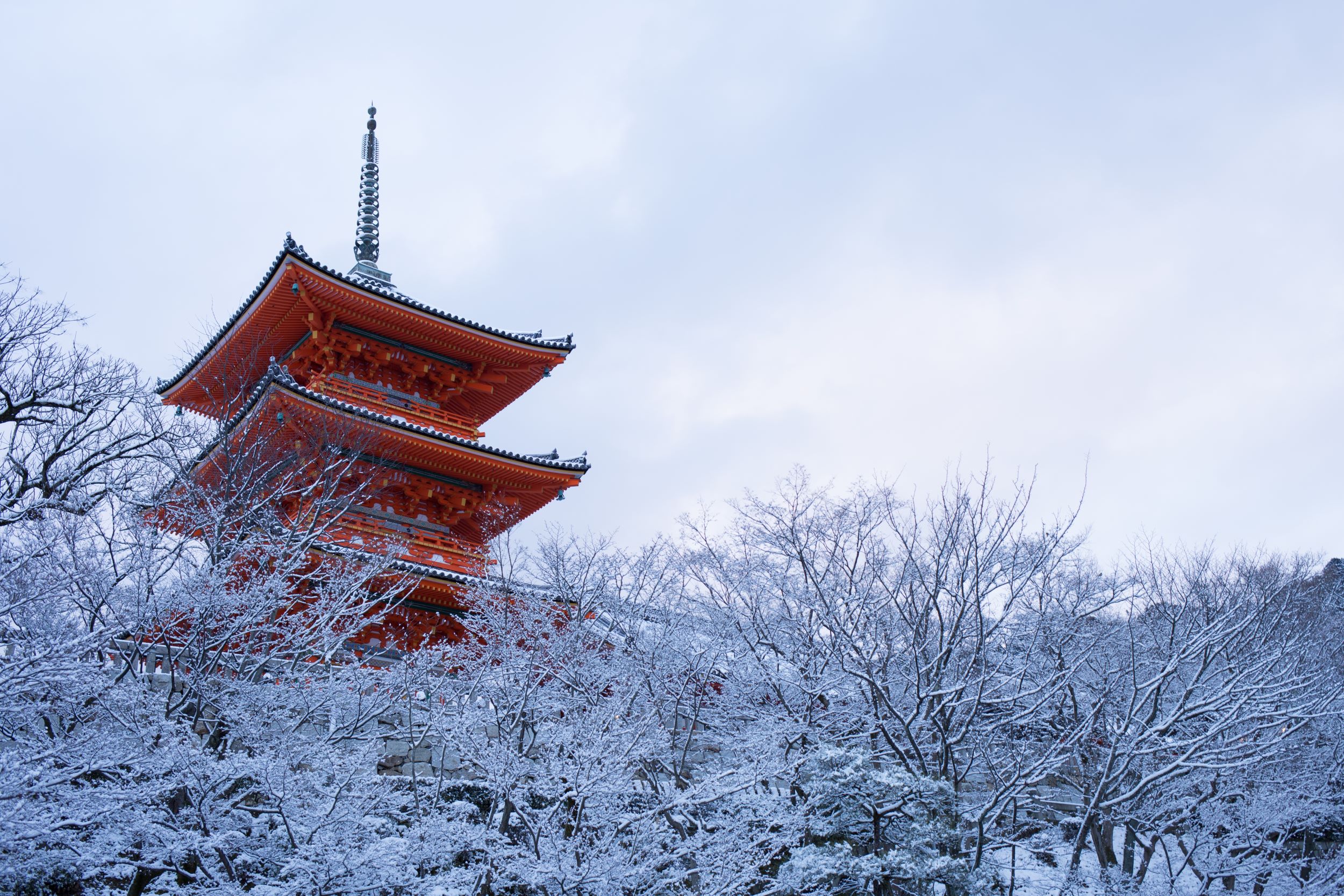 《三都溫泉雪世界影城5日》和牛長腳蟹暢食(住宿影城周邊) | 五福旅遊Lifetour