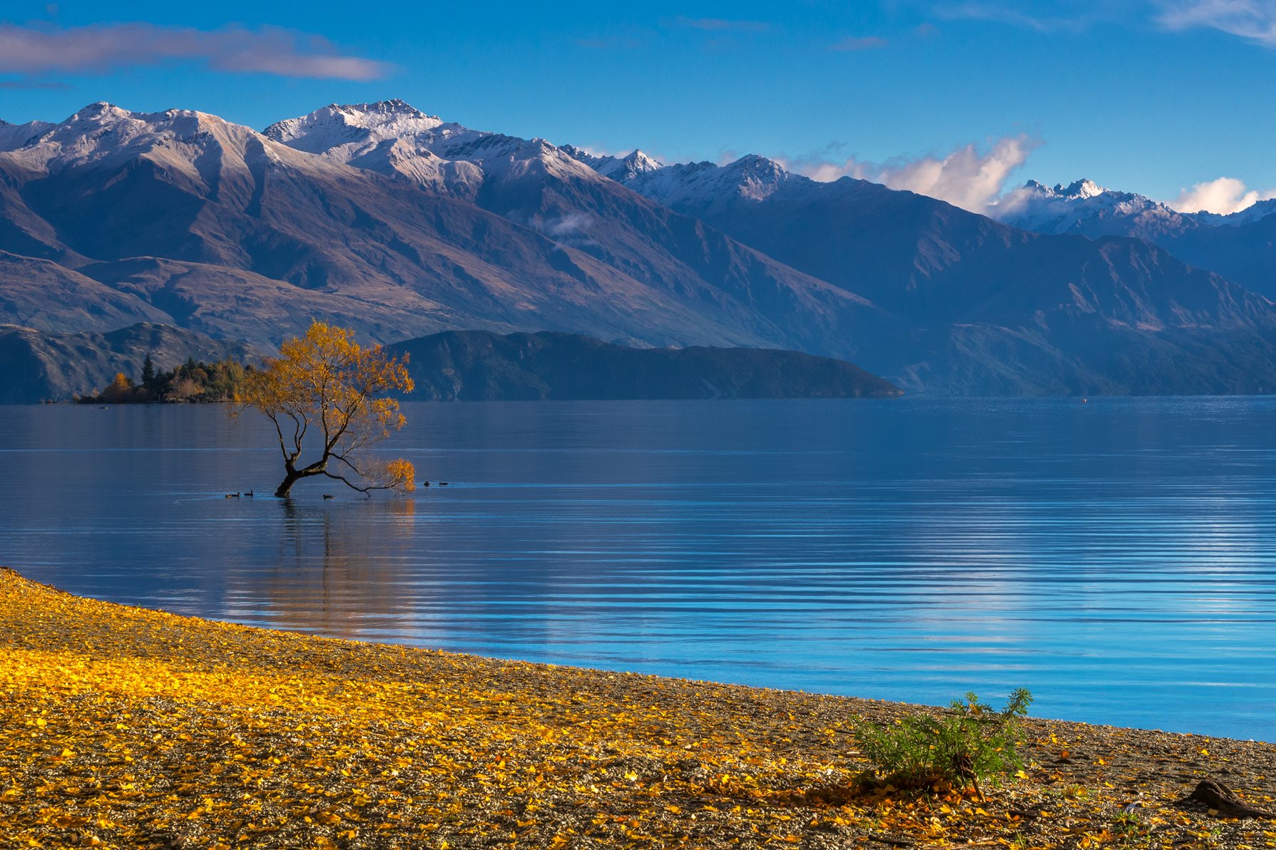 新一品純南島8日～冰河、高山火車、峽灣(紐西蘭航空) | 五福旅遊Lifetour