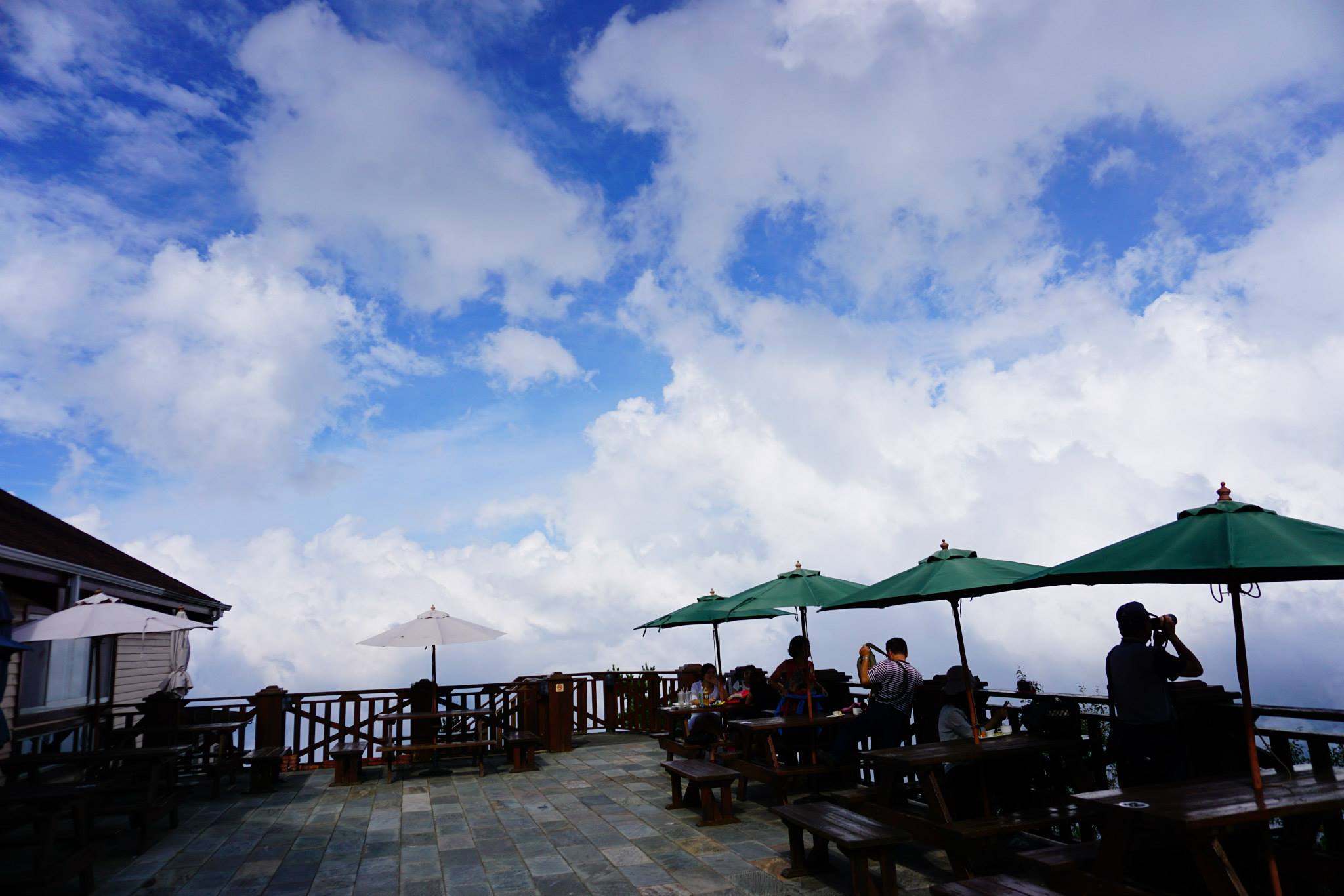 【兩人成行】觀巴精選~雪霸觀霧自然假期2日 | 五福旅遊Lifetour