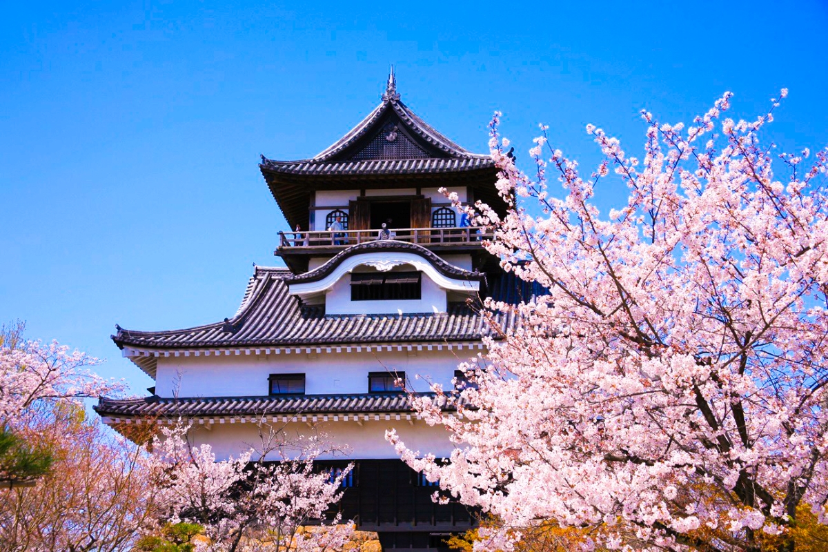 櫻姿北陸【希爾頓酒店】新穗高纜車、兼六園、合掌村5日 | 五福旅遊Lifetour